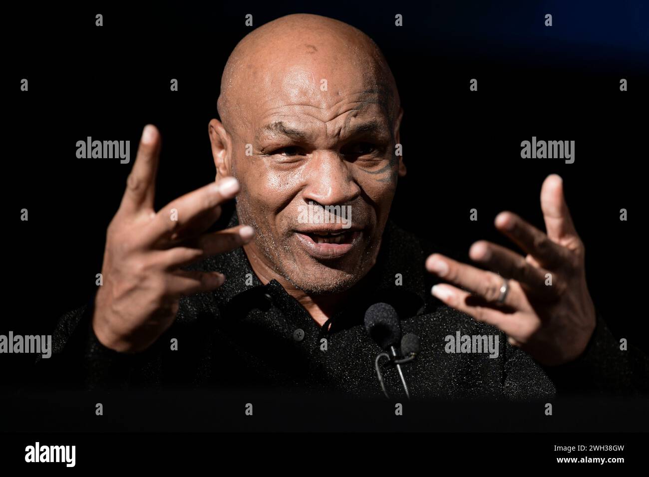 Press conference Bunny-Man Mike Tyson, American former professional ...