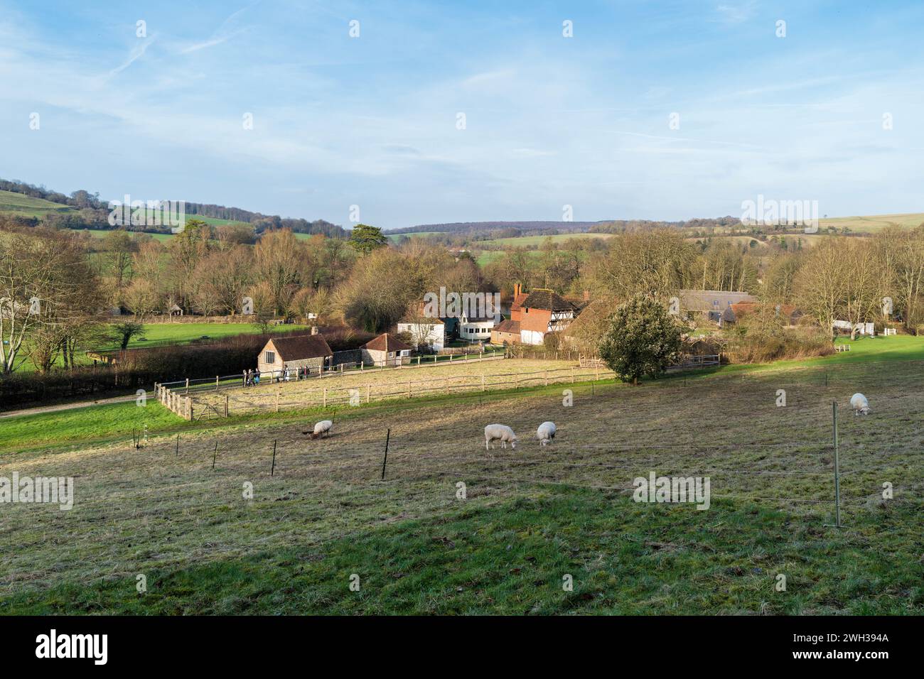 Timber framed buildings weald downland hi-res stock photography and ...