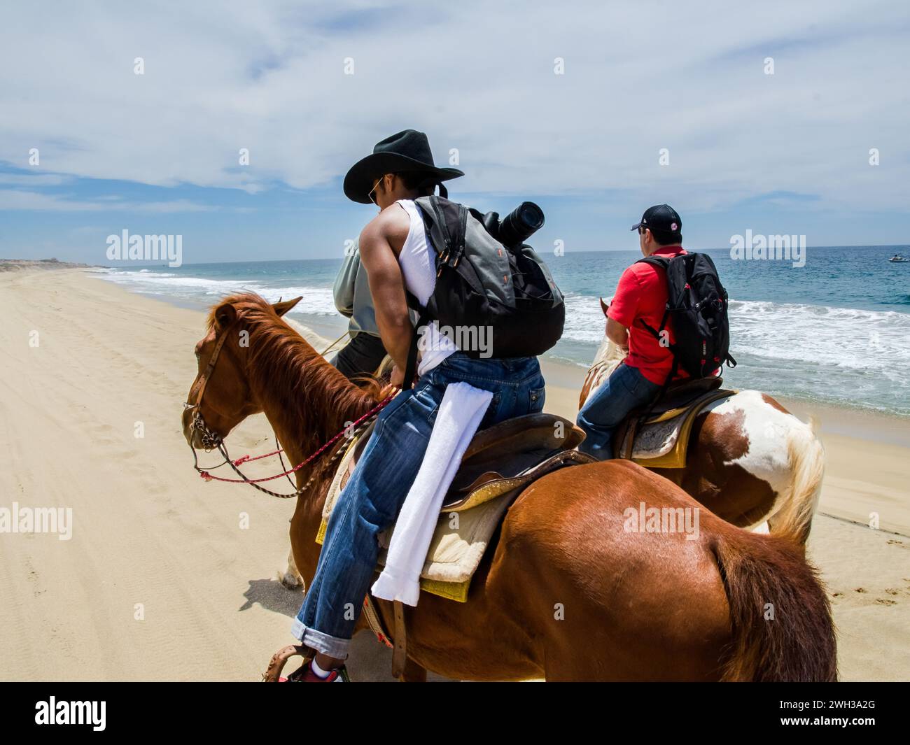 Horseback riding on the beach in Cabo San Lucas, Mexico Stock Photo - Alamy