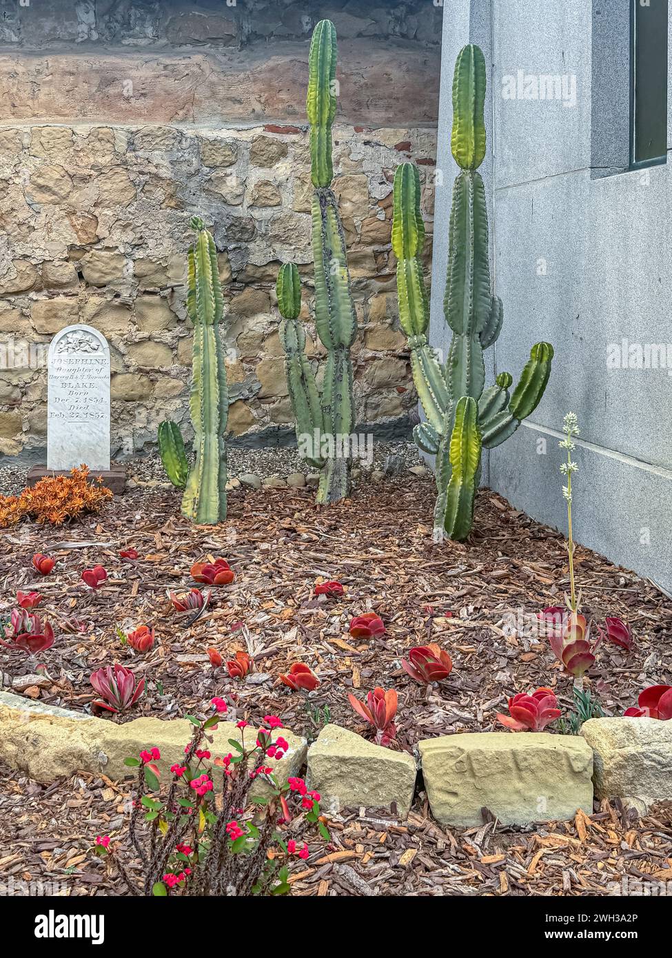 Santa Barbara, CA, USA - December 18, 2023: Historic 19th century tomb ...