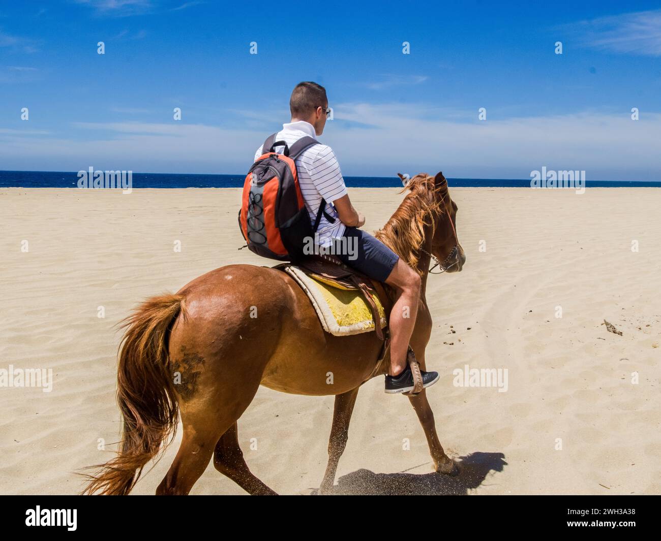 Horseback riding on the beach in Cabo San Lucas, Mexico Stock Photo - Alamy