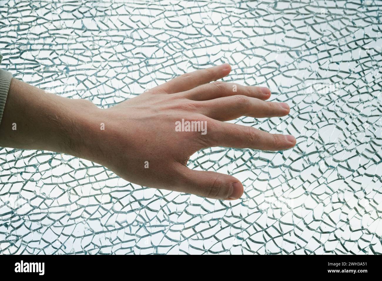 Pressed up against glass window hi-res stock photography and images - Alamy