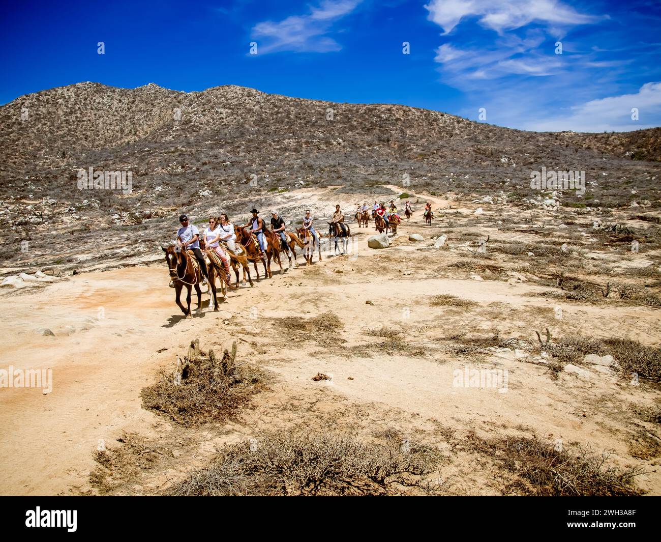 Horseback riding on the beach in Cabo San Lucas, Mexico Stock Photo - Alamy