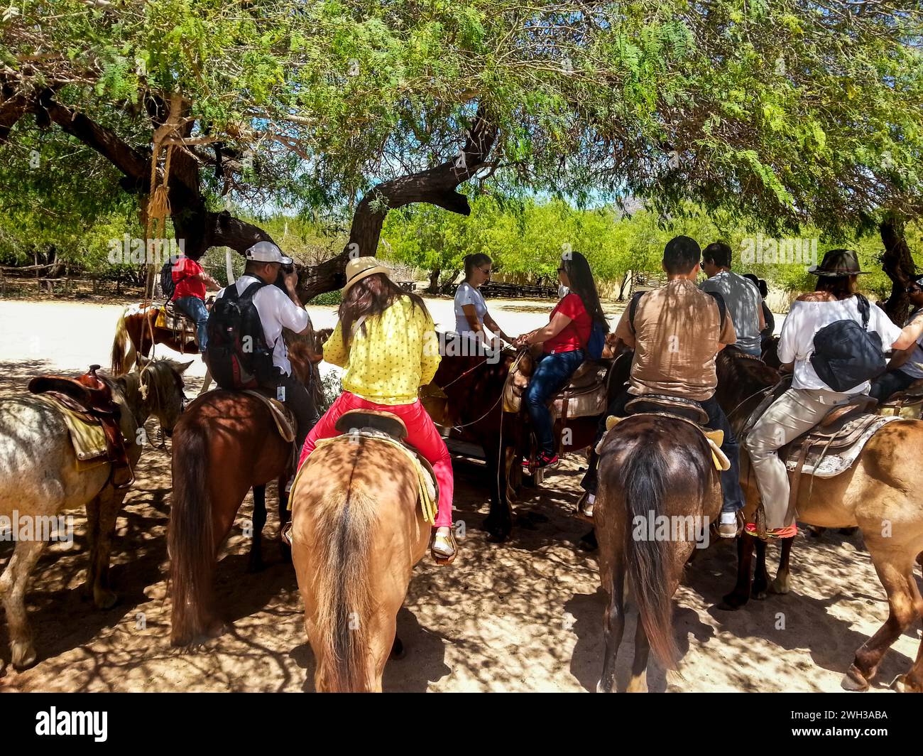Horseback riding on the beach in Cabo San Lucas, Mexico Stock Photo - Alamy