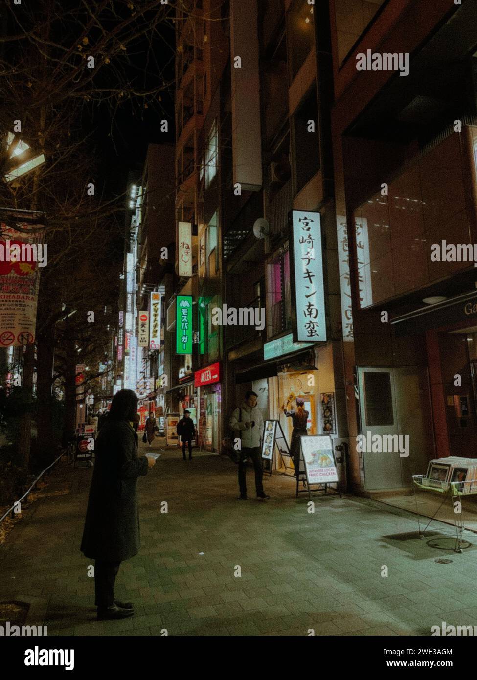 Tokyo, Japan street alley alleyway nighttime Stock Photo - Alamy