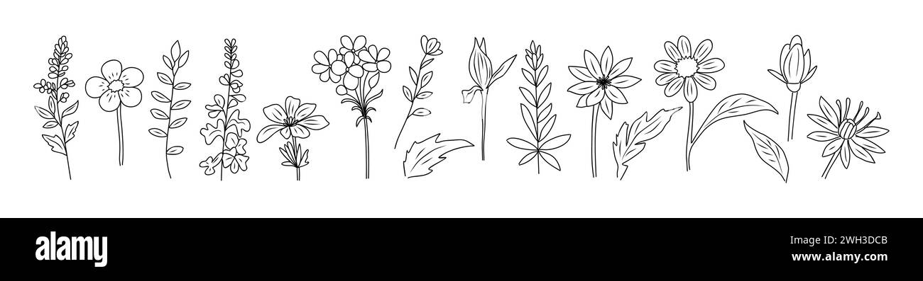 Set of tiny wild flowers and plant line art vector Stock Vector Image ...