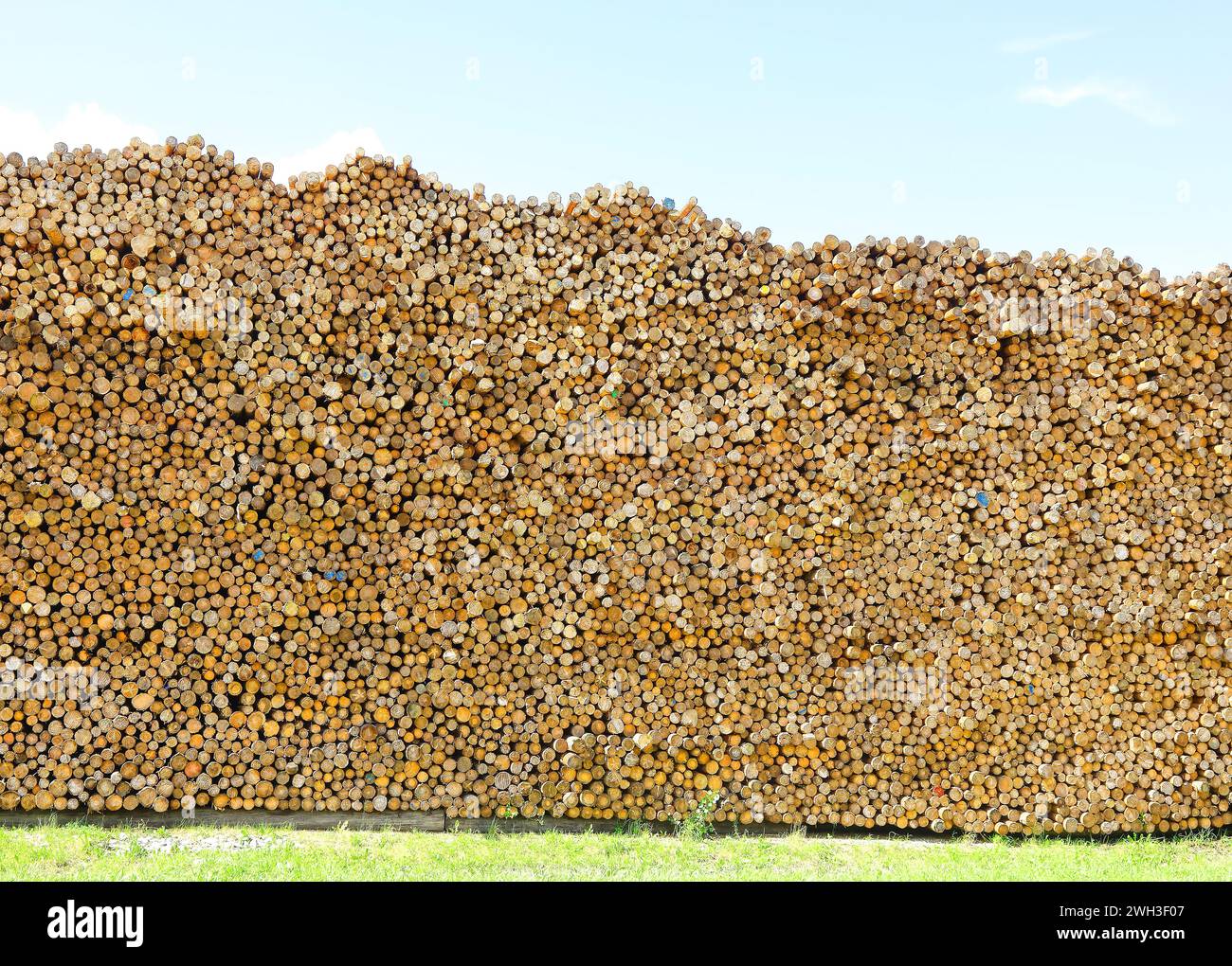 pile of cut logs for the production of building materials Stock Photo ...