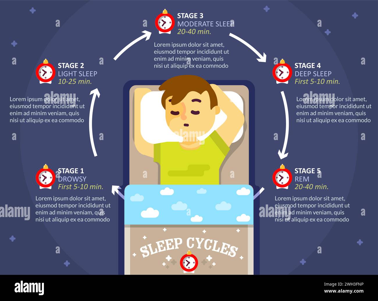 Sleep cycle infographics, vector flat style design illustration. Sleep ... Sleep cycle infographics, vector flat style design illustration. Sleep ...
