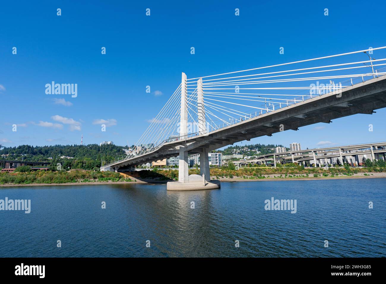 A wide-angle photo of the Tilikum Crossing Bridge as viewed from the ...