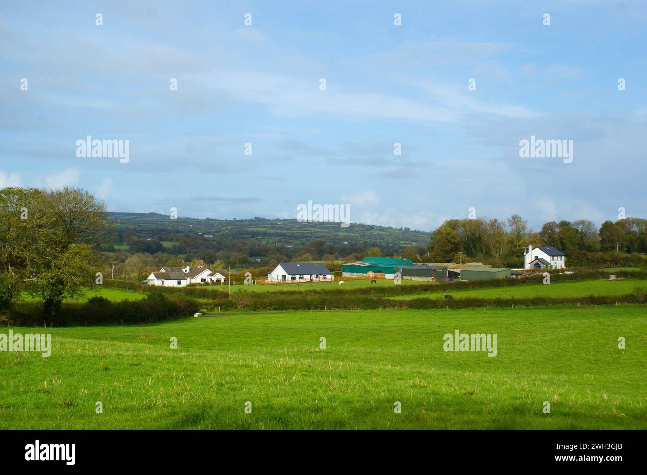 Irish country houses hi-res stock photography and images - Alamy