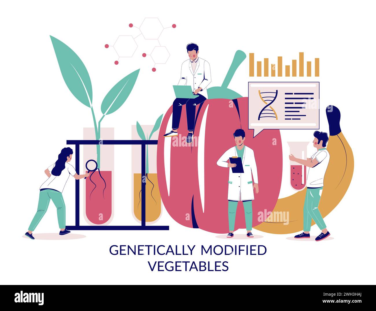 Genetically modified vegetables, vector flat illustration. Genetic engineering, genetic ...