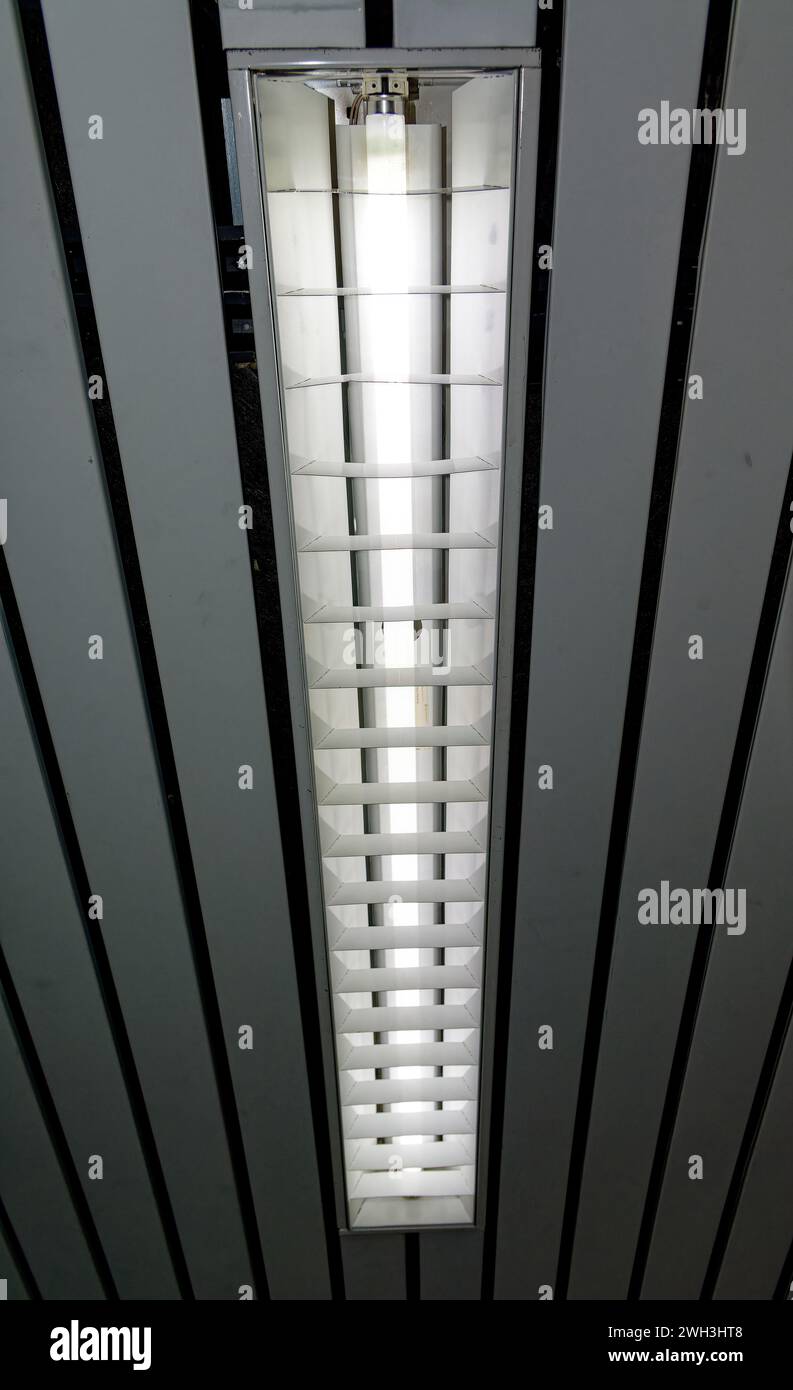 Glowing neon lights on the ceiling Stock Photo - Alamy