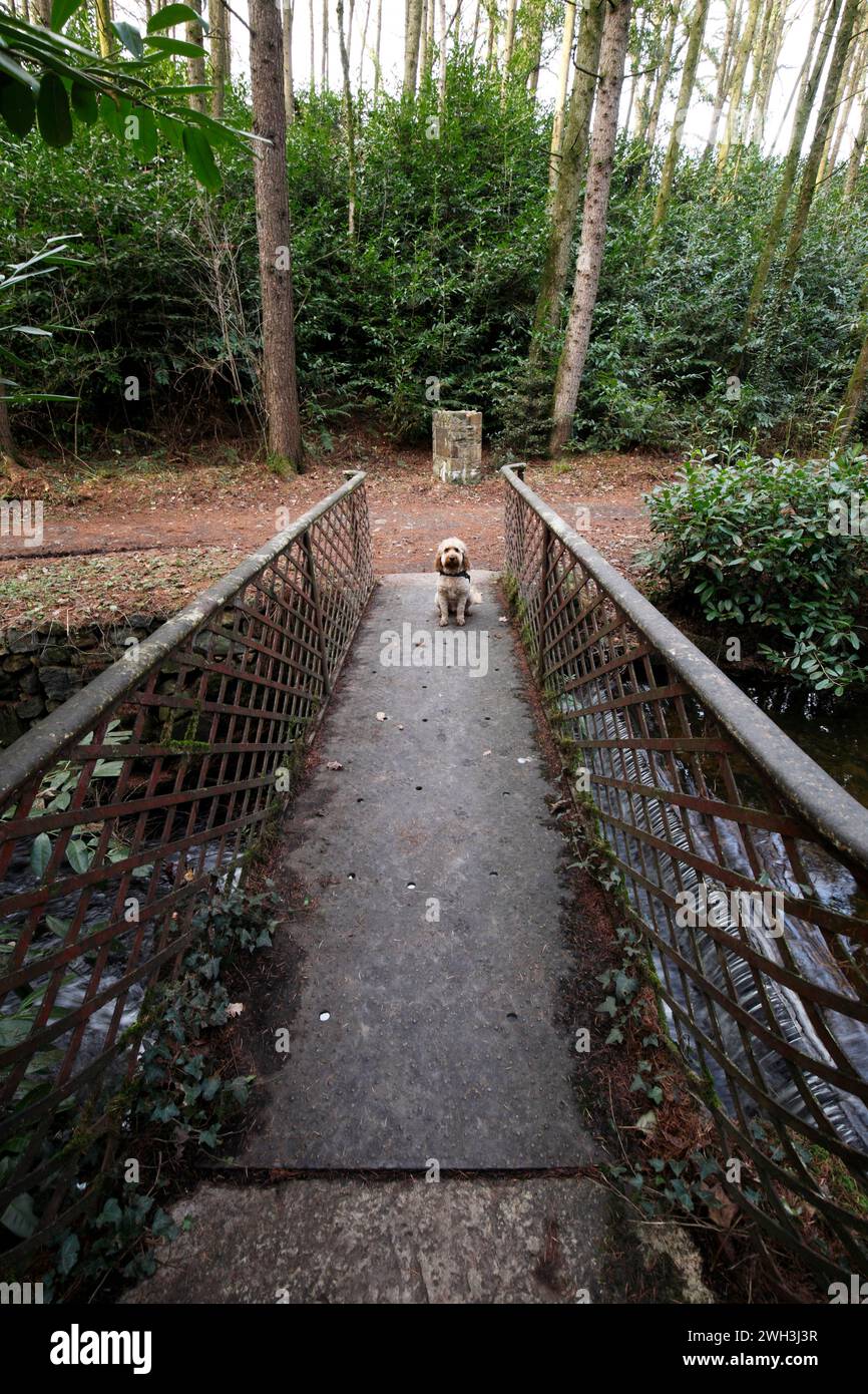 Iron bridge, Parc Glynllifon Country park. Grade I Historical Garden ...
