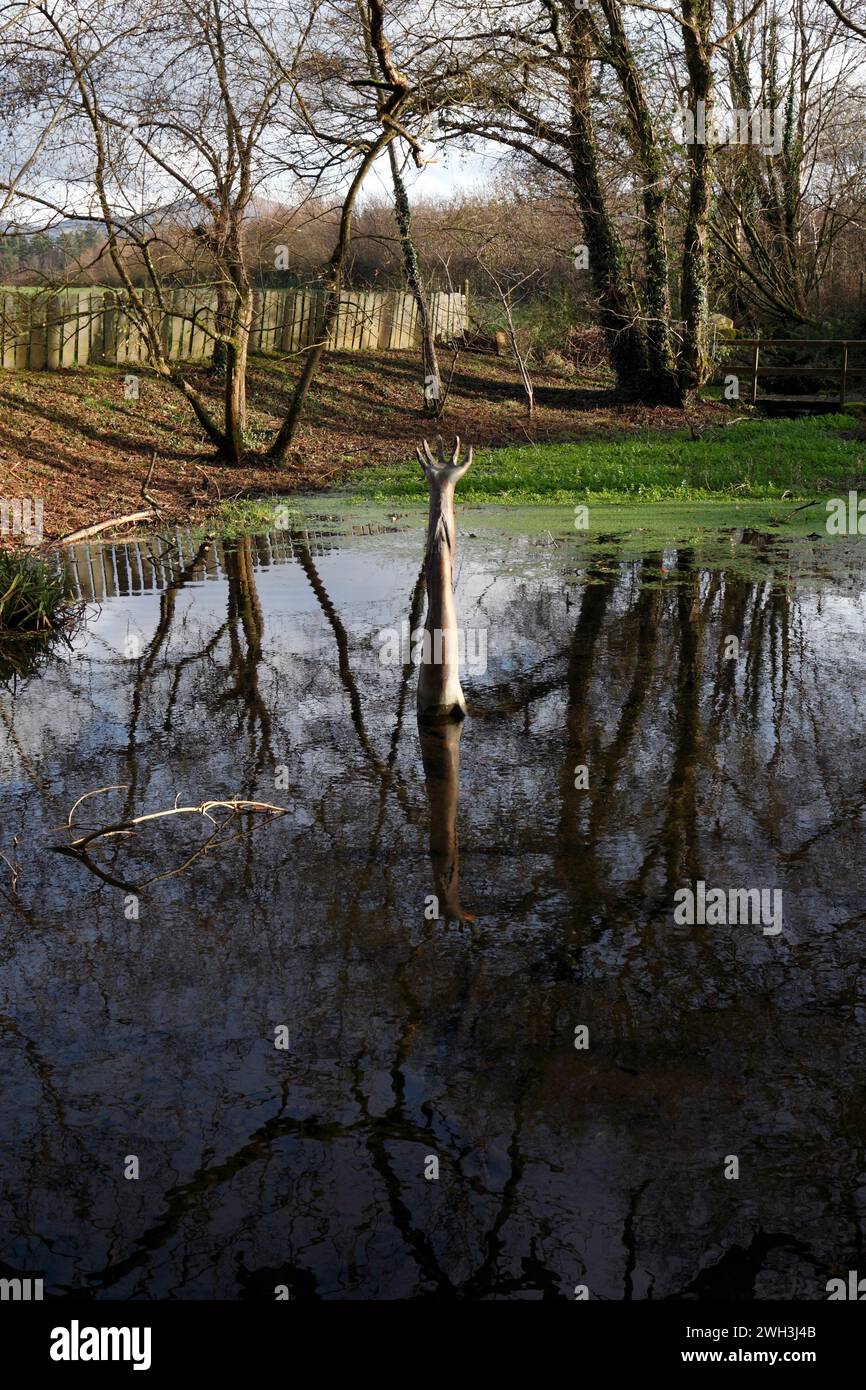 Art installation in Parc Glynllifon.Plas Glynllifon. park and gardens ...