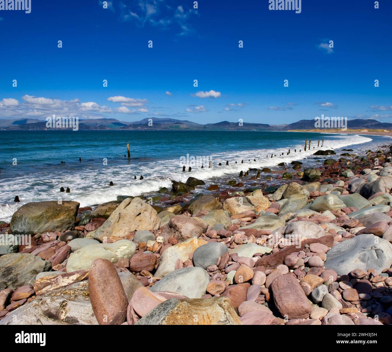 The beach at Rossbeigh, Glenbeigh, Dingle Bay, Ring of Kerry, County ...