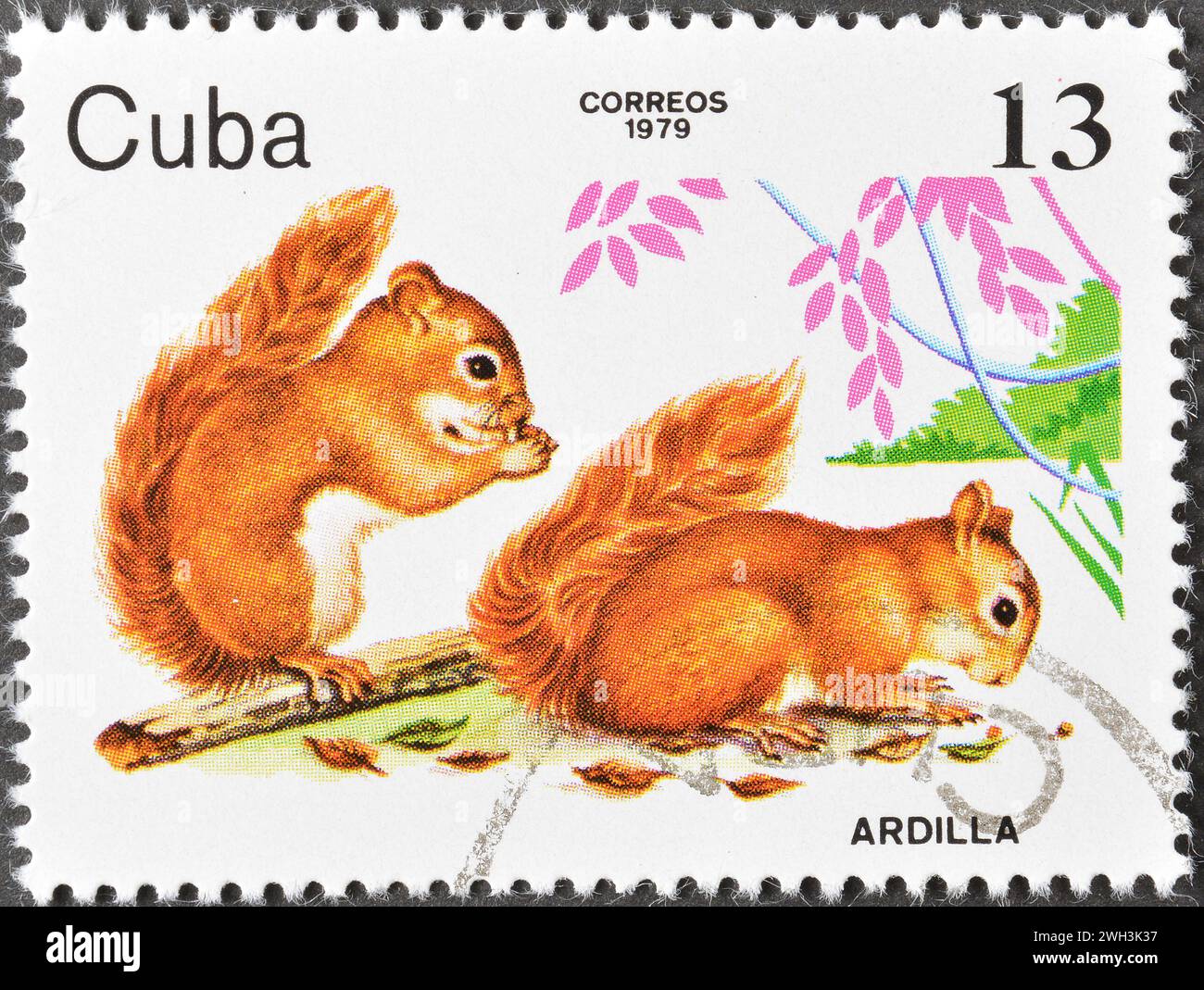 Cancelled postage stamp printed by Cuba, that shows Eurasian Red ...