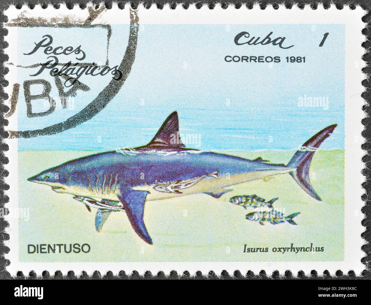 Cancelled postage stamp printed by Cuba, that shows Shortfin Mako Shark ...