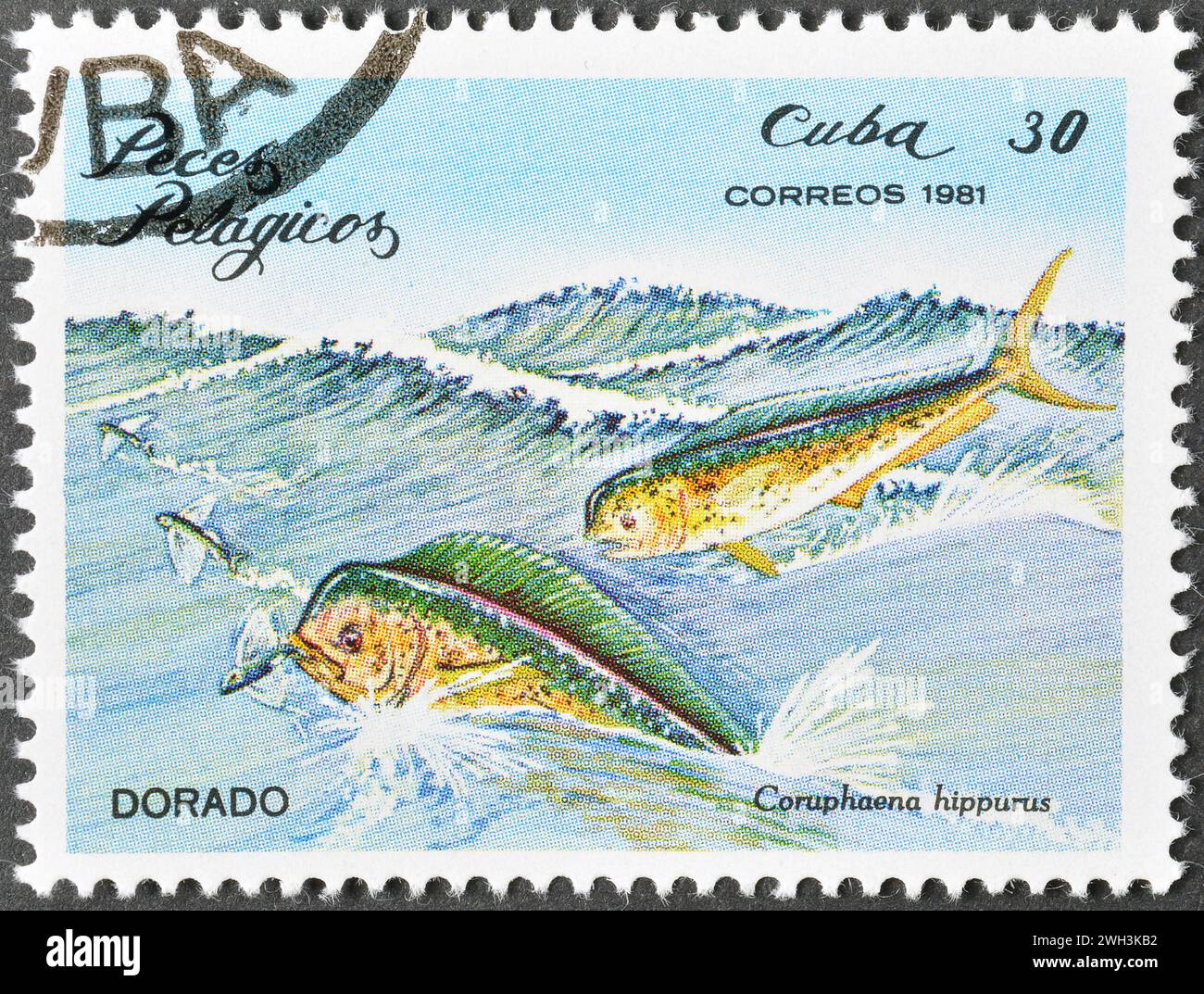 Cancelled postage stamp printed by Cuba, that shows Common Dolphinfish ...