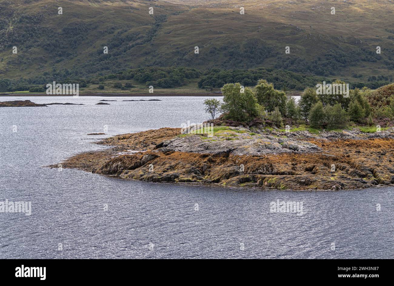 The eastern end of Garbh Eilean Island in Loch Sunart, Highlands ...