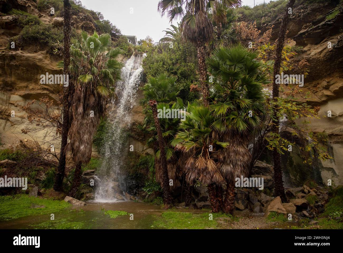 February 6, 2024, Dana Point, California, USA: A waterfall flows at ...