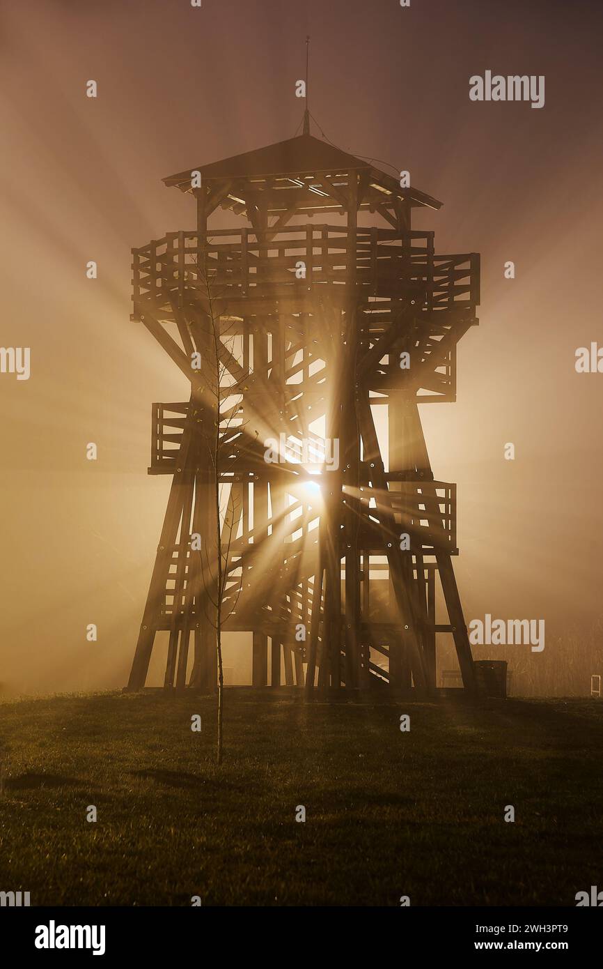 Birdwatching highlight hi-res stock photography and images - Alamy