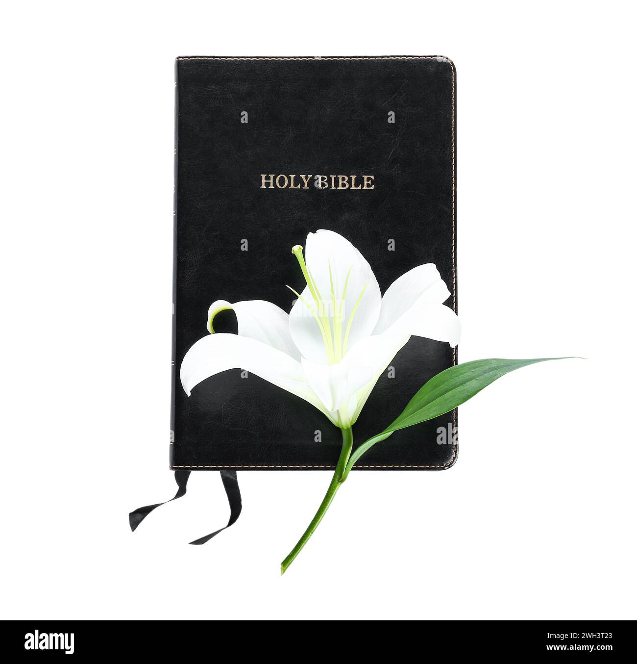 Bible with lily flower on white background Stock Photo - Alamy
