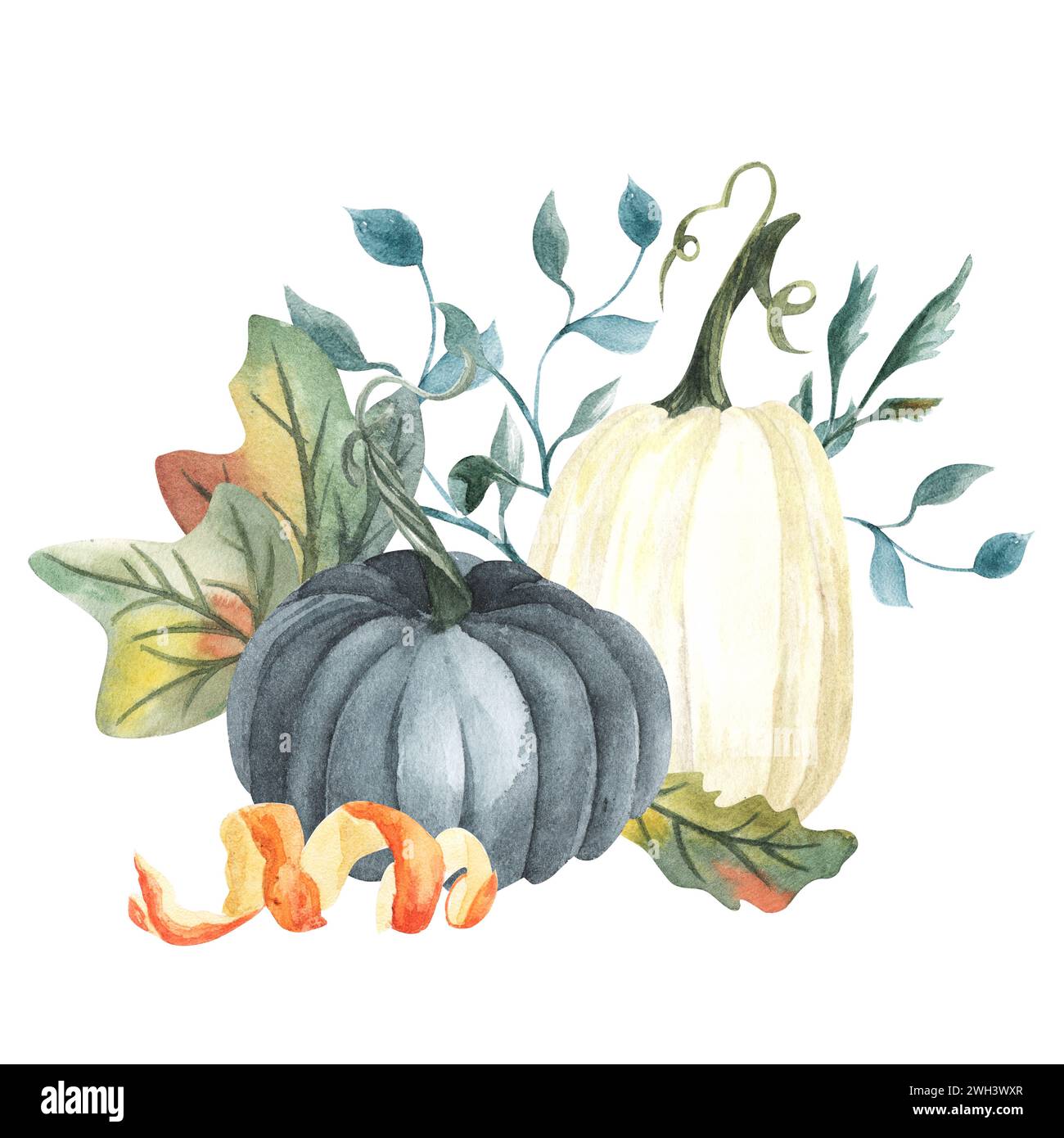 Watercolor blue and white pumpkin composition, floral pumpkins ...
