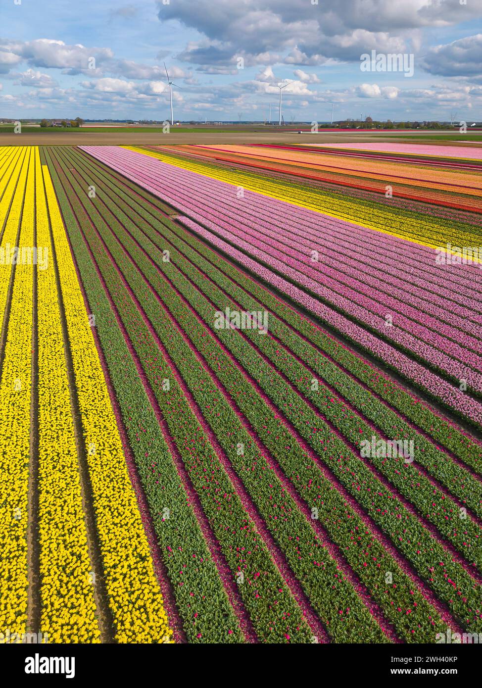 Aerial view holland hi-res stock photography and images - Alamy