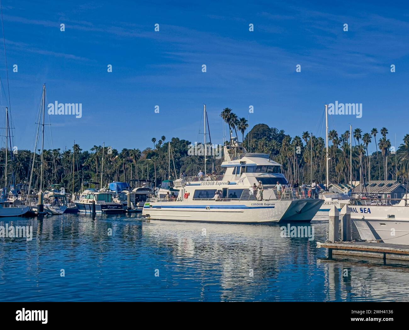 Santa Barbara, CA, USA - January 28, 2024: Closeup of Condor Express ...