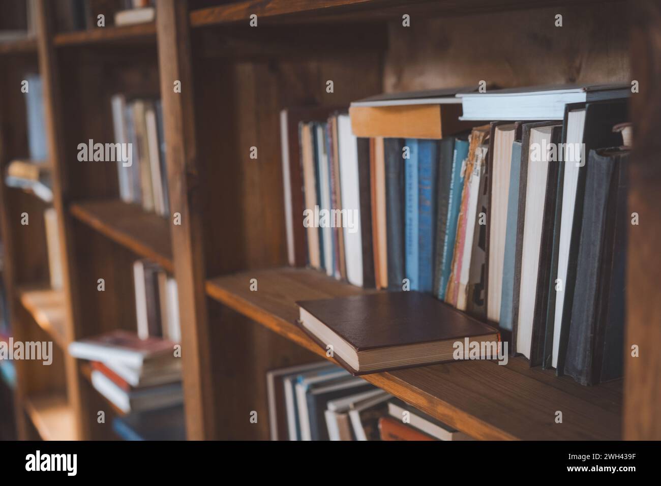 Single Book Resting On Bookshelf In Library, Highlighting The Intricate ...