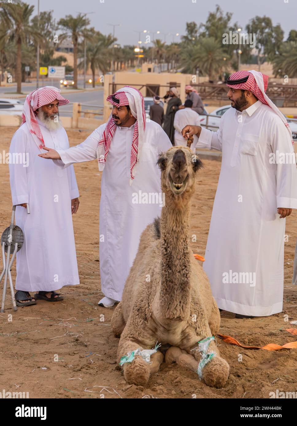 Al buraidah hi-res stock photography and images - Alamy