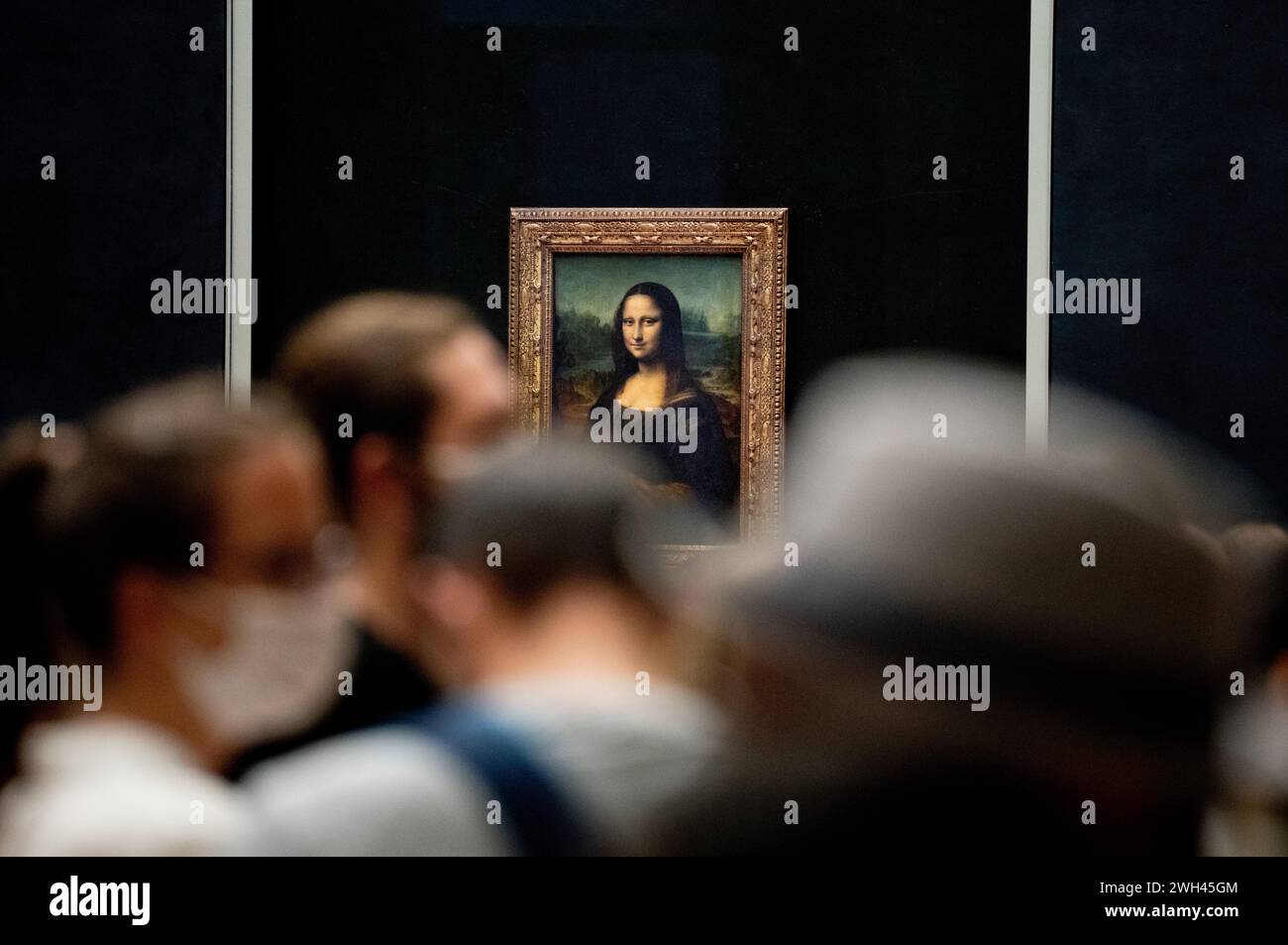 Visitors lining up to view the famed oil painting of Mona Lisa by ...