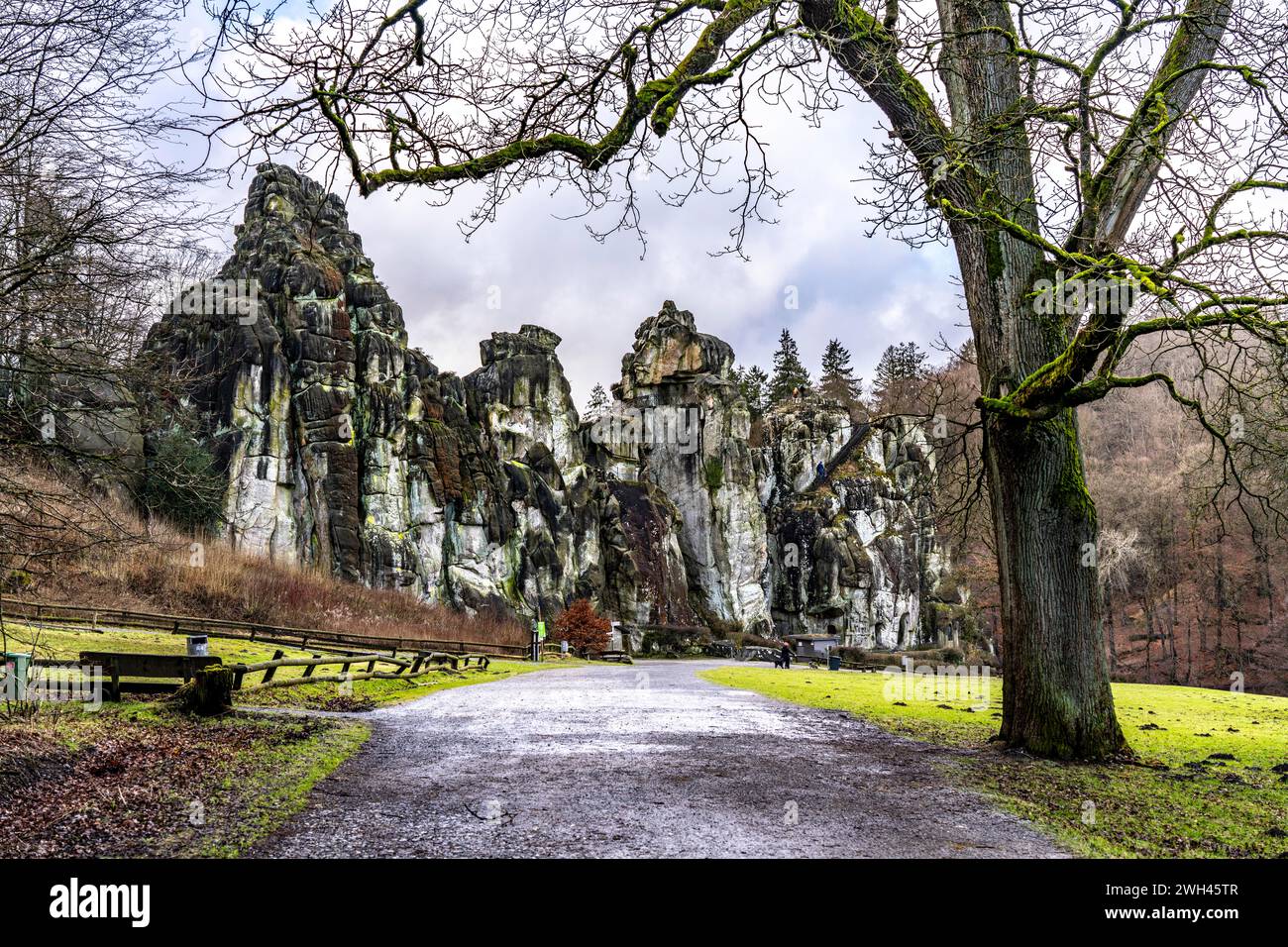 The Externsteine, a sandstone rock formation, in the Teutoburg Forest ...