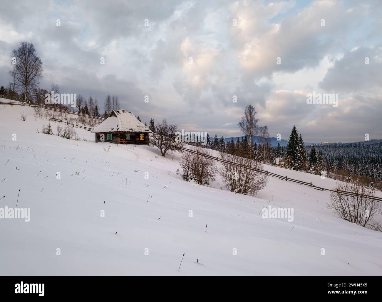 Countryside hills, groves and farmlands in winter remote alpine ...