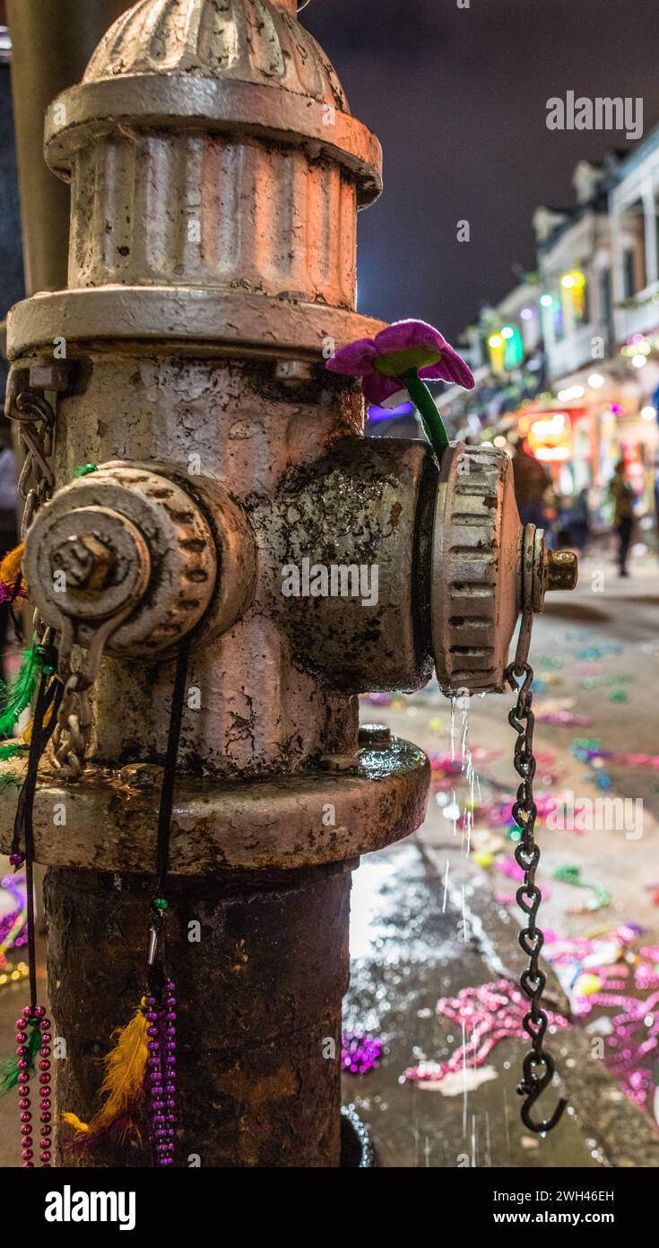 Beads draping Fire hydrant in the French Quarter of New Orleans after a ...