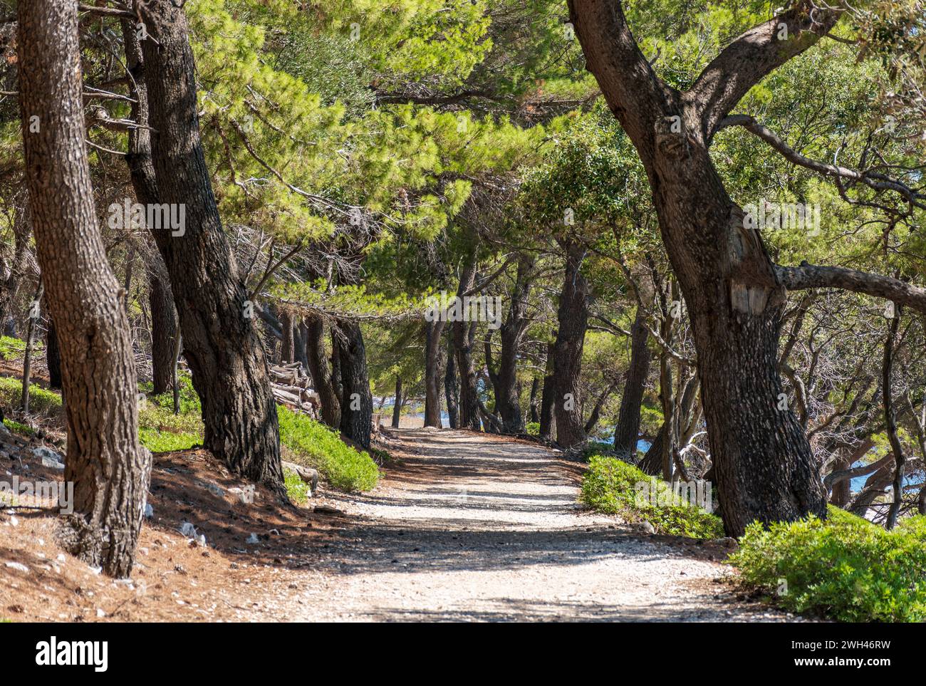 Empty gravel pathway hiking hi-res stock photography and images - Alamy