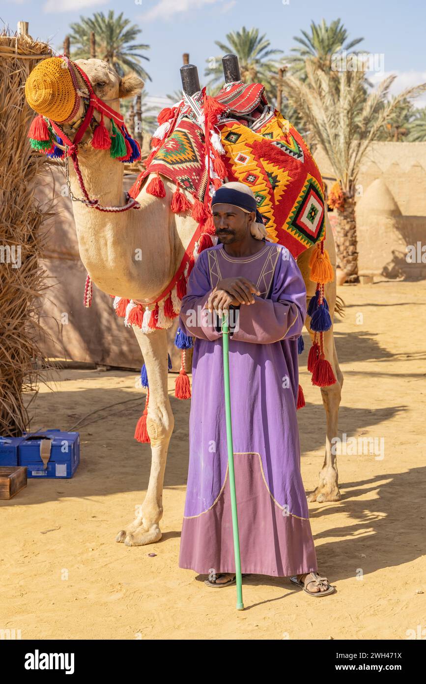 Middle East, Saudi Arabia, Tabuk Province, Tayma. November 15, 2023 ...