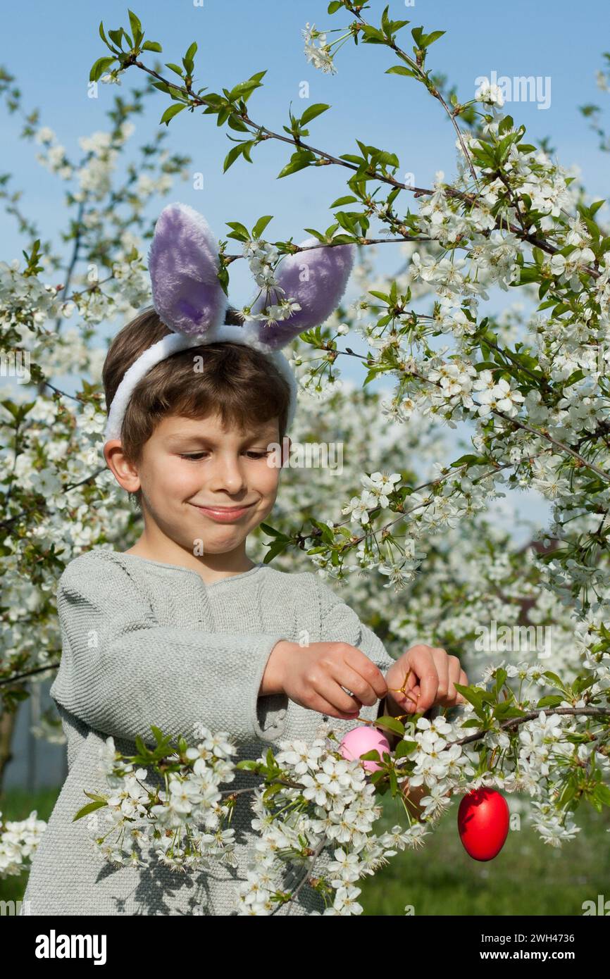Easter egg hunt. preschool boy wearing bunny ears finding colorful eggs ...