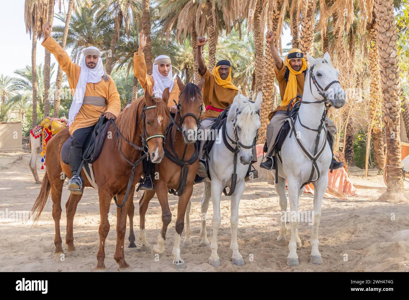 Middle East, Saudi Arabia, Tabuk Province, Tayma. November 15, 2023 ...