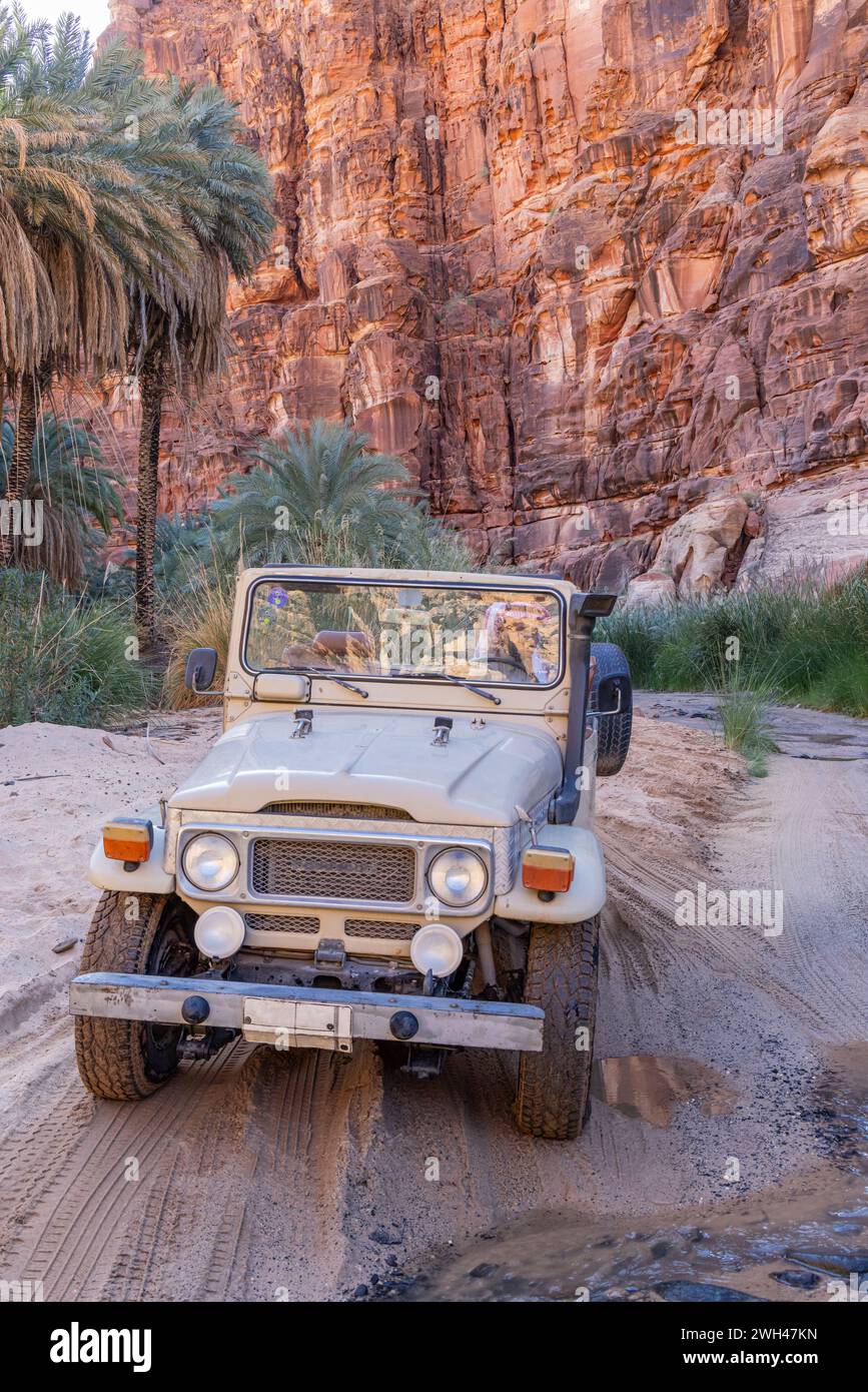 Middle East, Saudi Arabia,Tabuk, Wadi Al-Disha, Prince Mohammed bin ...