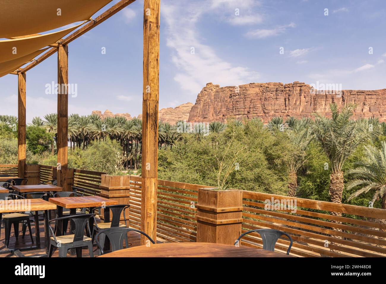 Alula plant hi-res stock photography and images - Alamy