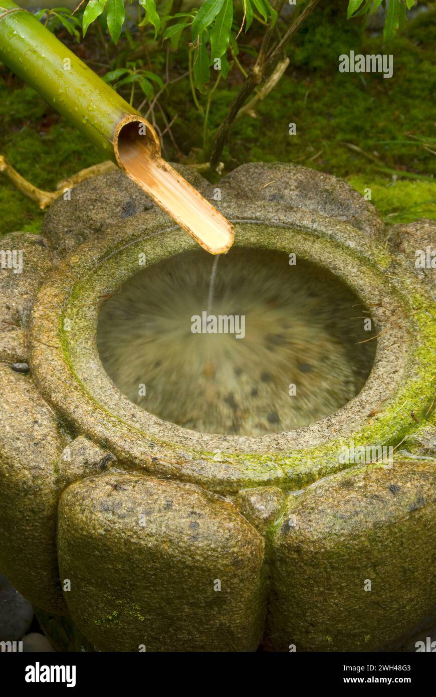Stone Lotus Basin, Portland Japanese Garden, Washington Park, Portland ...
