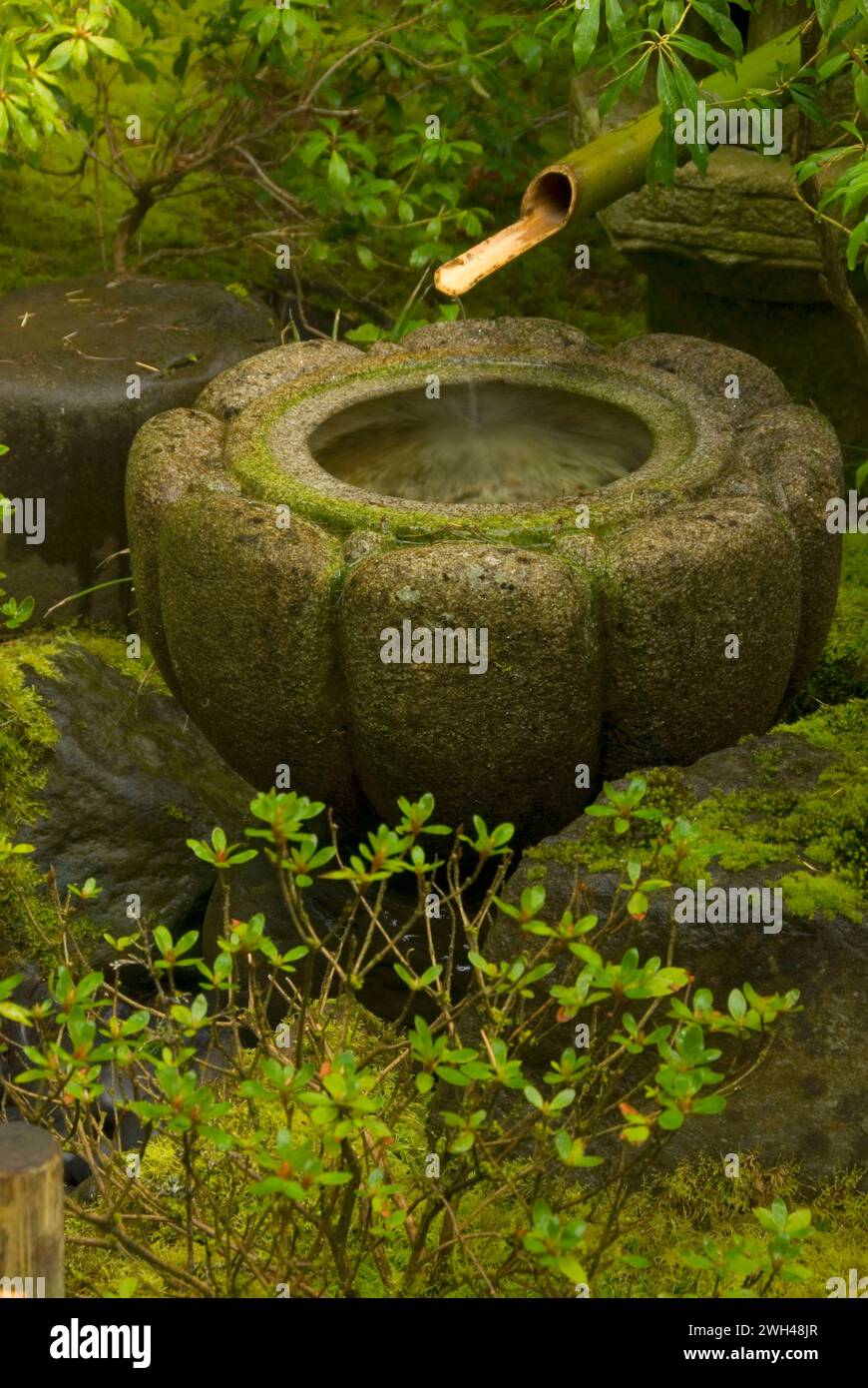 Stone Lotus Basin, Portland Japanese Garden, Washington Park, Portland ...