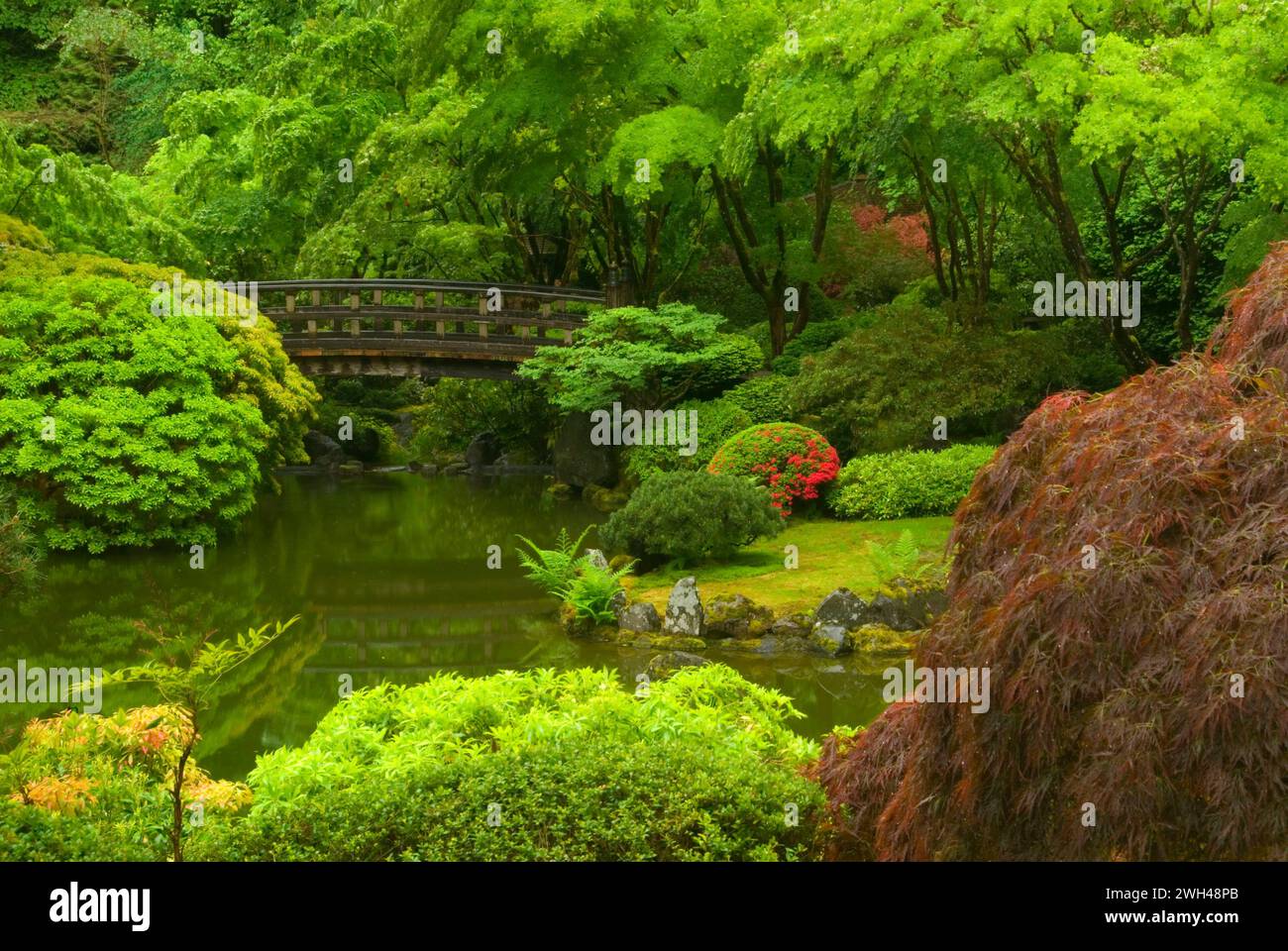 Moon Bridge, Portland Japanese Garden, Washington Park, Portland, Oregon Stock Photo - Alamy