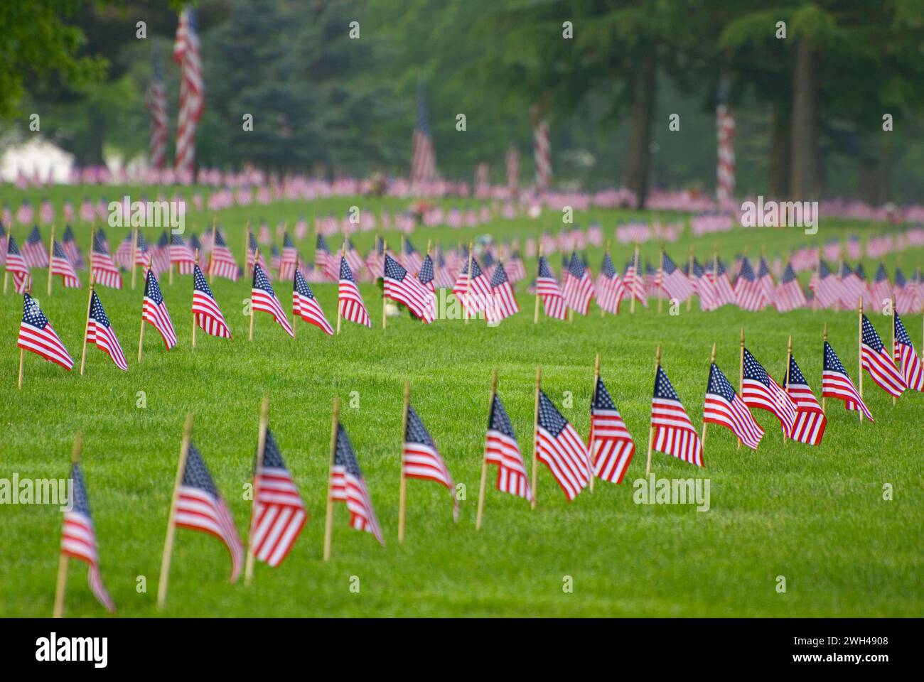 Memorial Day flags on graves, Willamette National Cemetery, Portland ...