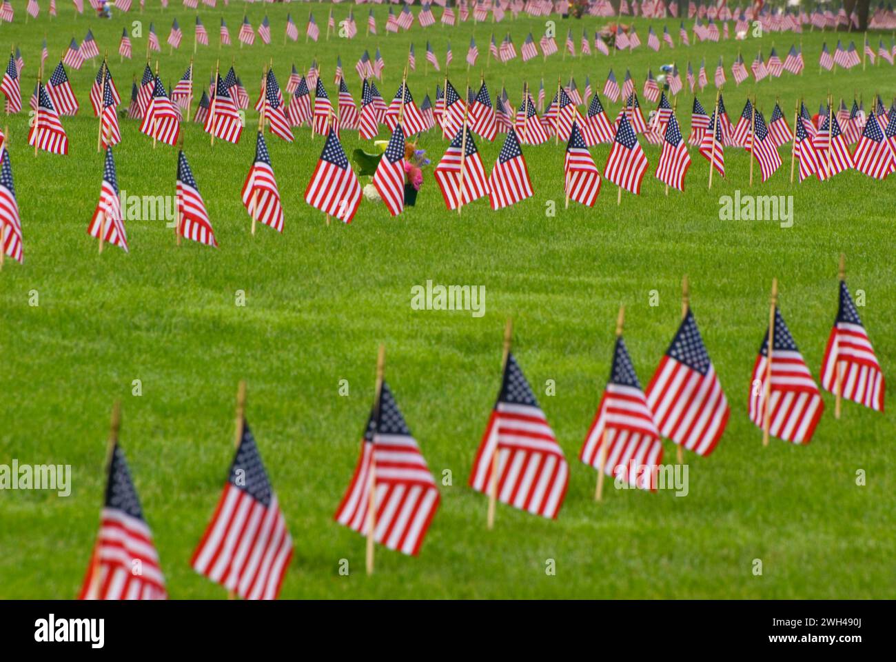 Memorial Day flags on graves, Willamette National Cemetery, Portland ...