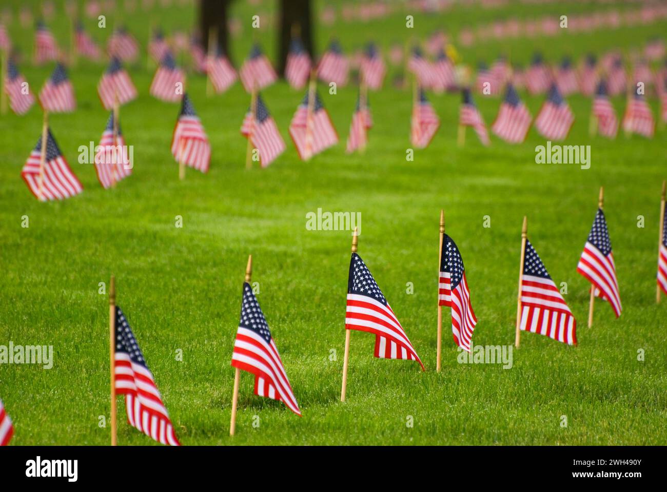 Memorial Day flags on graves, Willamette National Cemetery, Portland ...