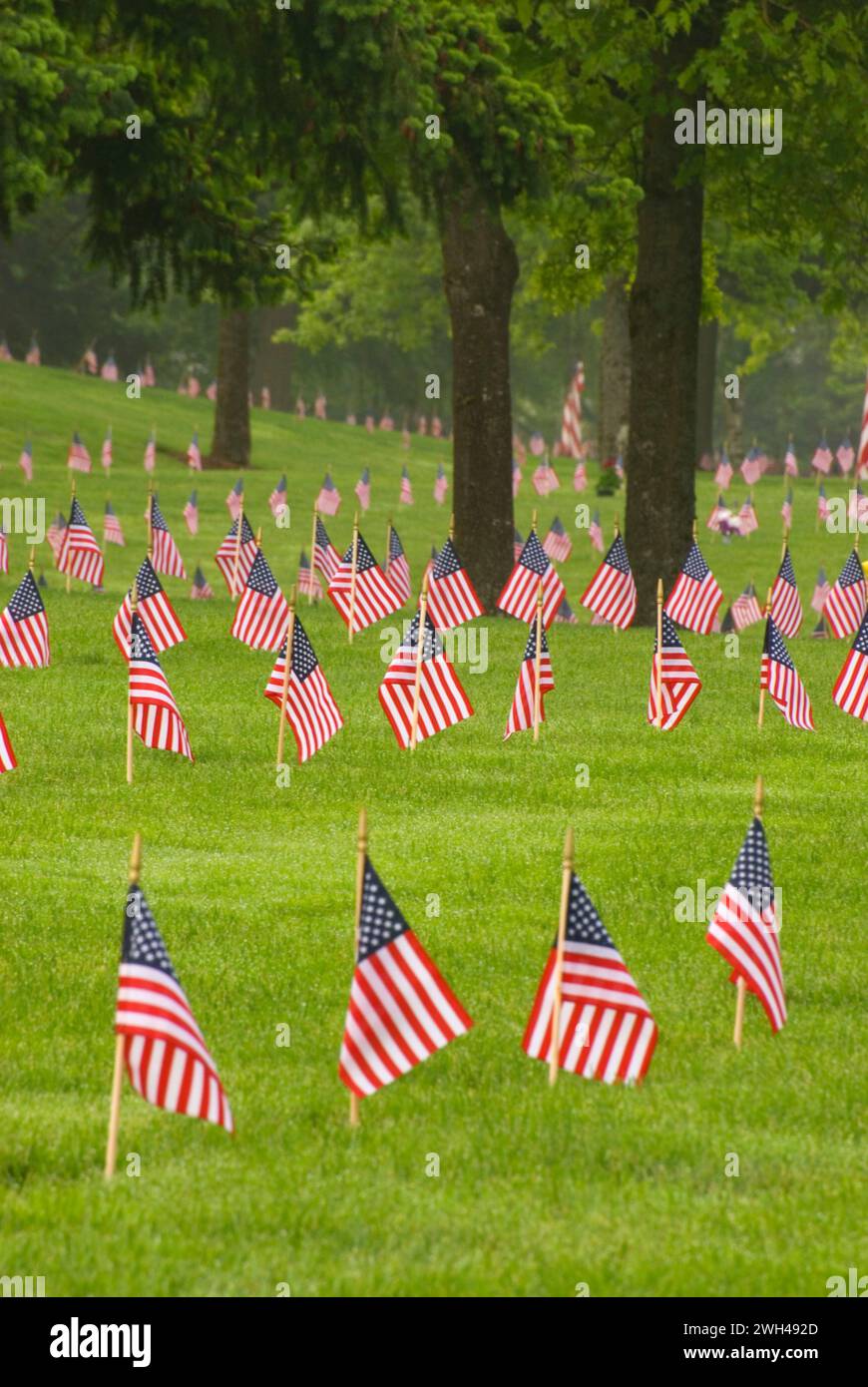 Memorial Day flags on graves, Willamette National Cemetery, Portland ...