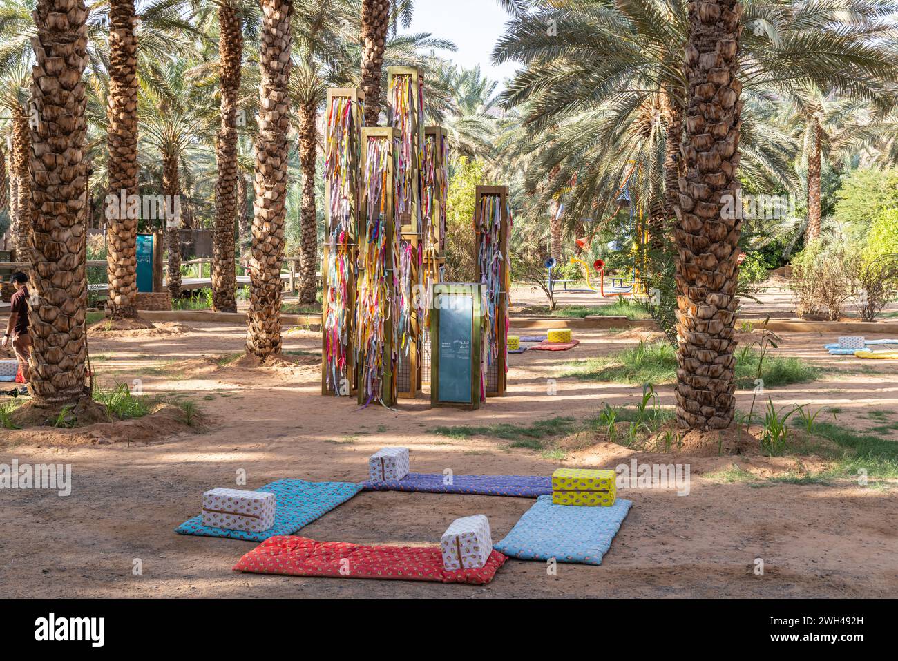 Alula plant hi-res stock photography and images - Alamy