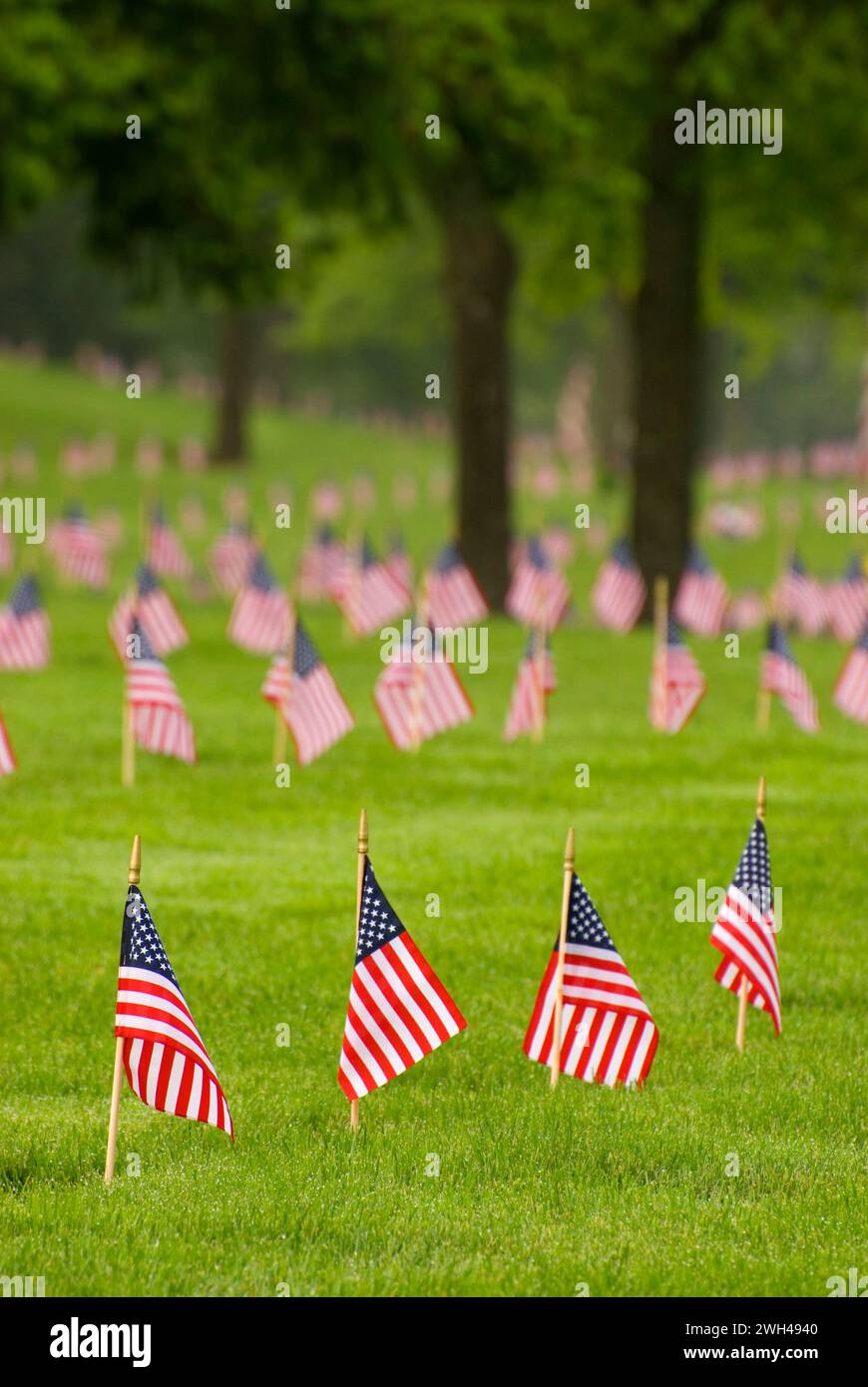 Memorial Day flags on graves, Willamette National Cemetery, Portland ...